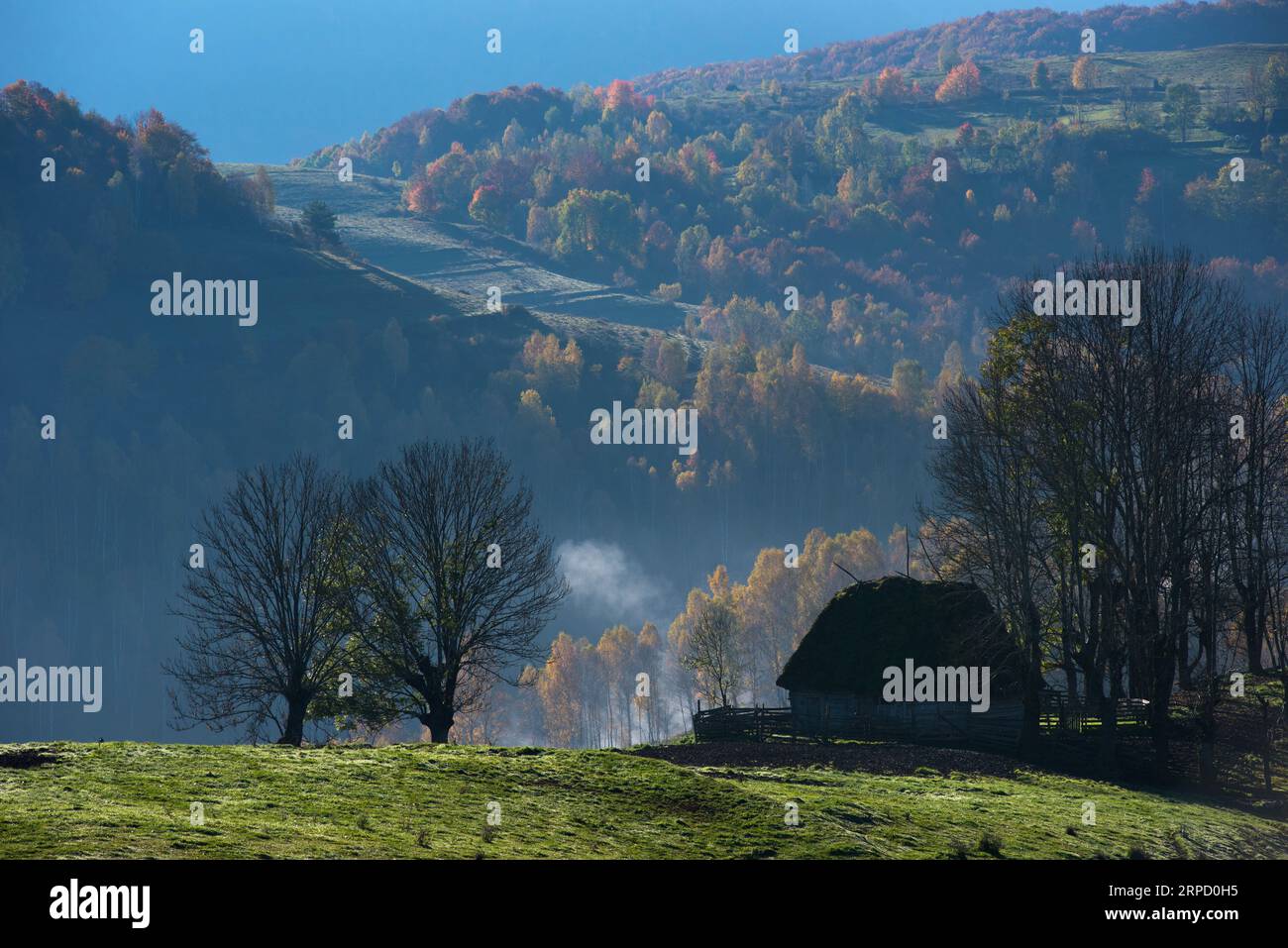 Autumn countryside landscape with wooden houses, thatched roof during ...