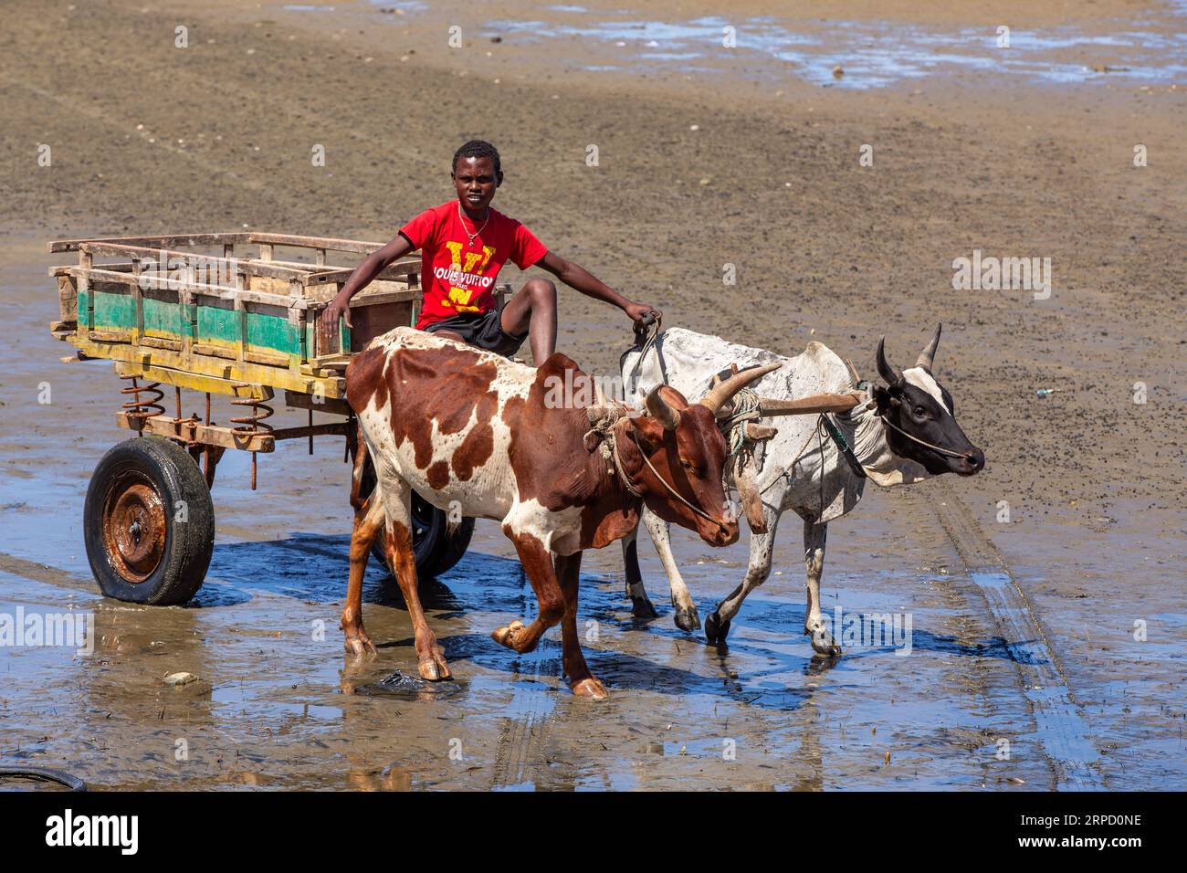 Toliara madagasca hi-res stock photography and images - Alamy