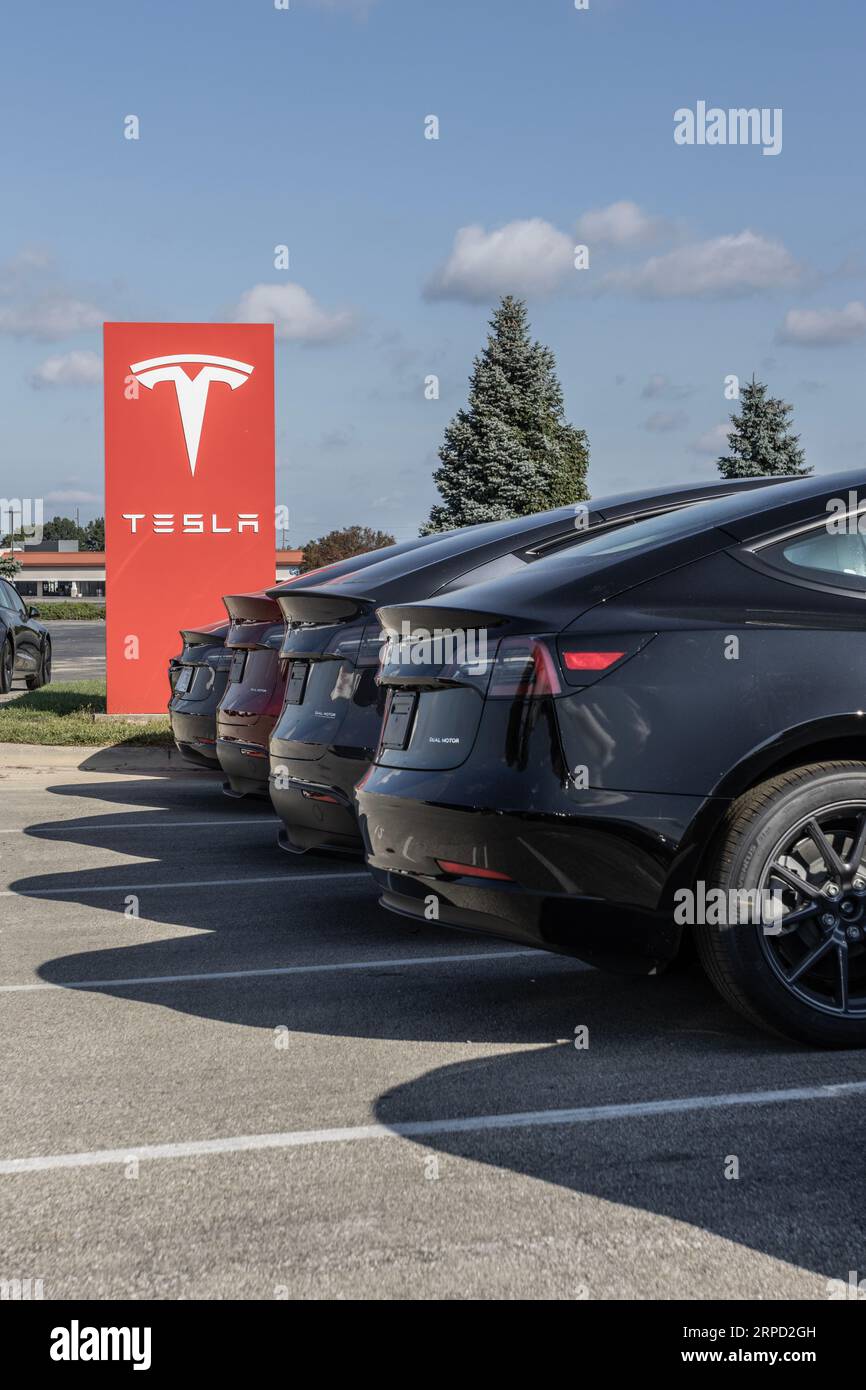 Indianapolis - September 3, 2023: Tesla EV electric vehicles on display ...