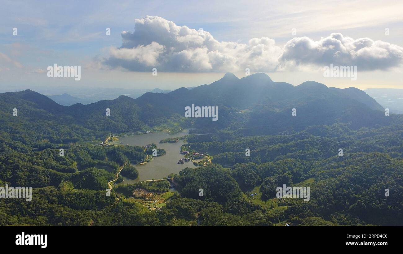 Hainan national forest park hi-res stock photography and images - Alamy