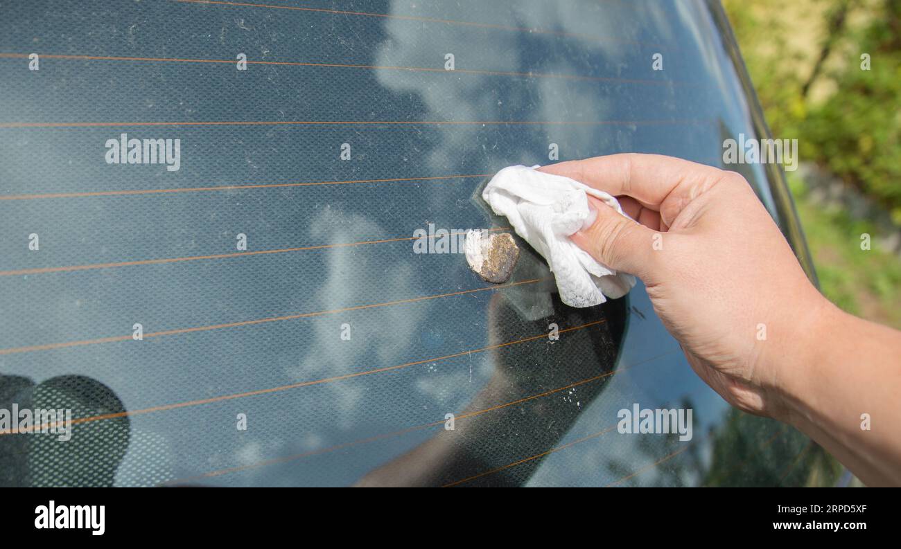 A man cleans bird droppings from a car window with a damp cloth, close ...