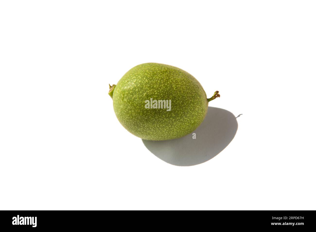 Green outer shells of unripe walnuts, green walnuts, isolated on white ...