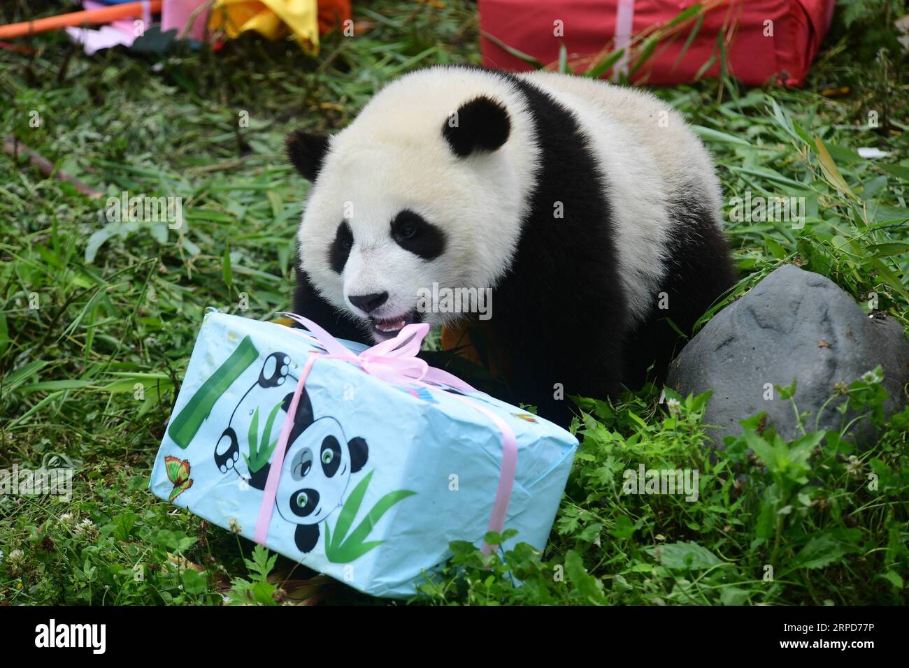 Tierweltenentertainment hi-res stock photography and images - Alamy