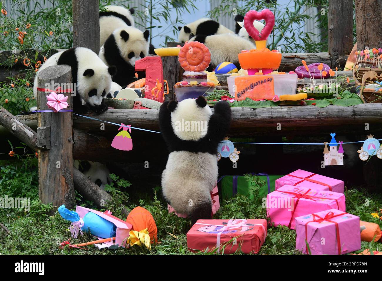 Tierweltenentertainment hi-res stock photography and images - Alamy