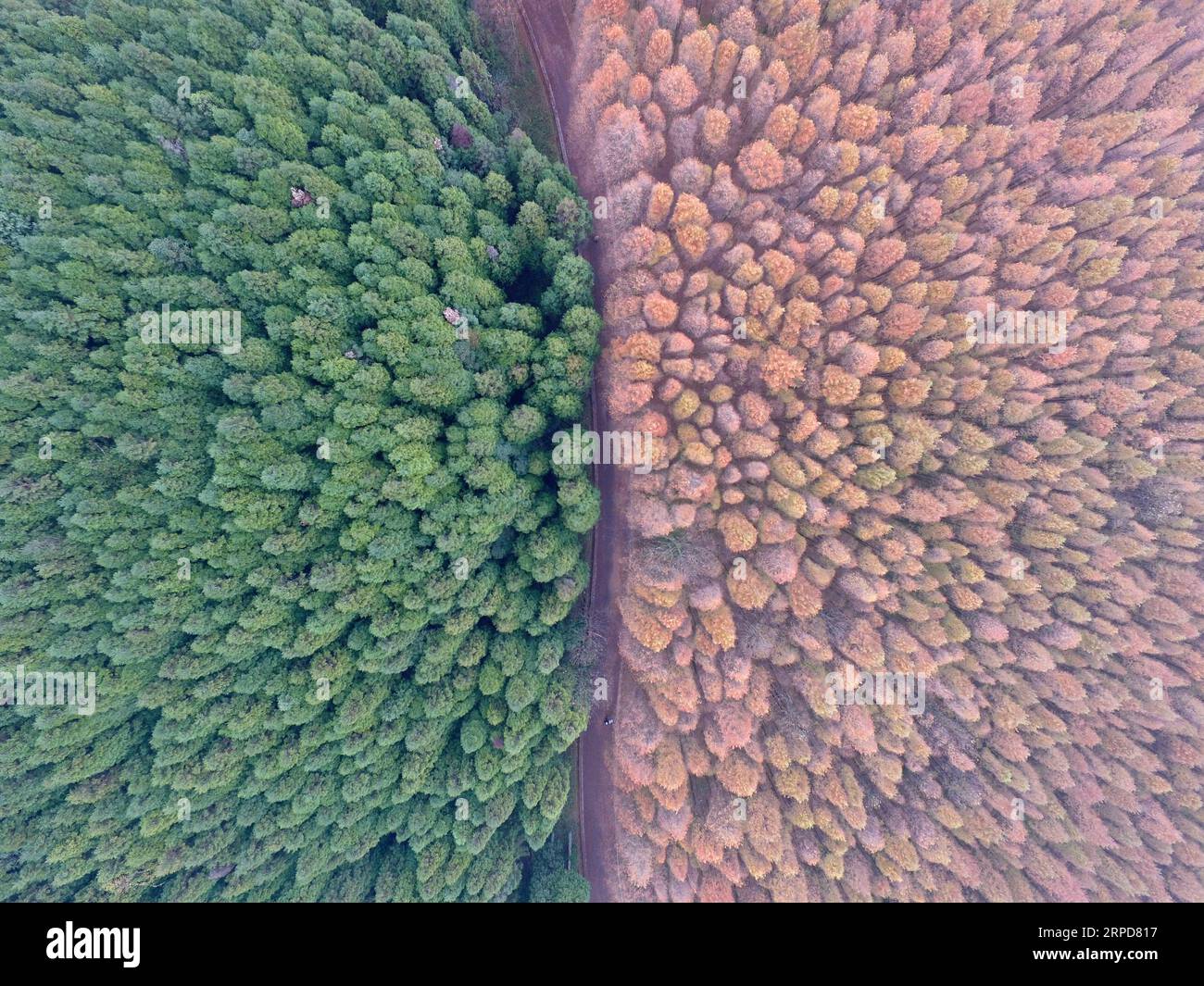 (190726) -- CHONGQING, July 26, 2019 -- Aerial photo taken on Nov. 24 ...