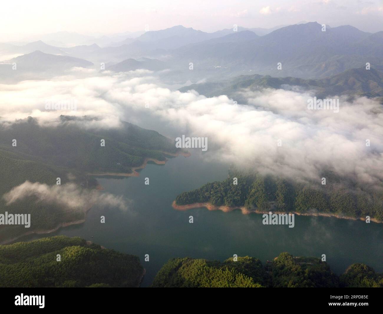 Foziling hi-res stock photography and images - Alamy