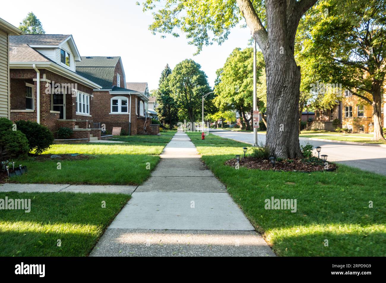 Sub urban street in Chicago Stock Photo - Alamy
