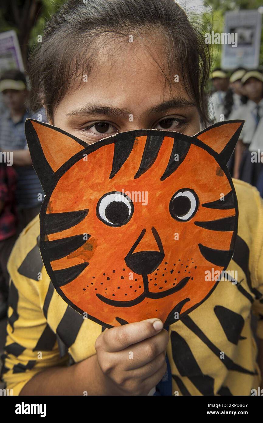 India tiger mask hi-res stock photography and images - Alamy