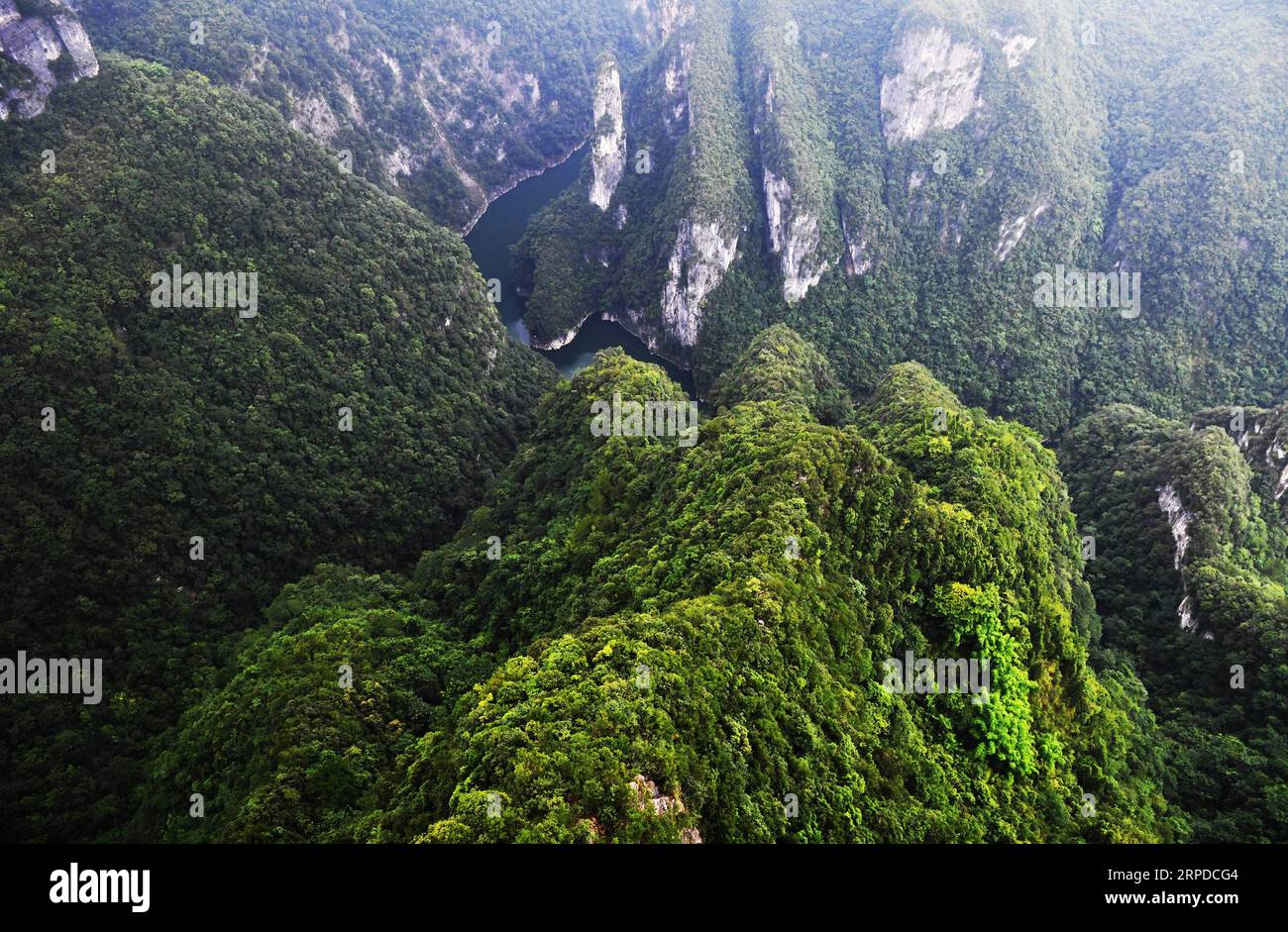 (190731) -- YUNYANG, July 31, 2019 -- Photo taken on July 30, 2019 ...