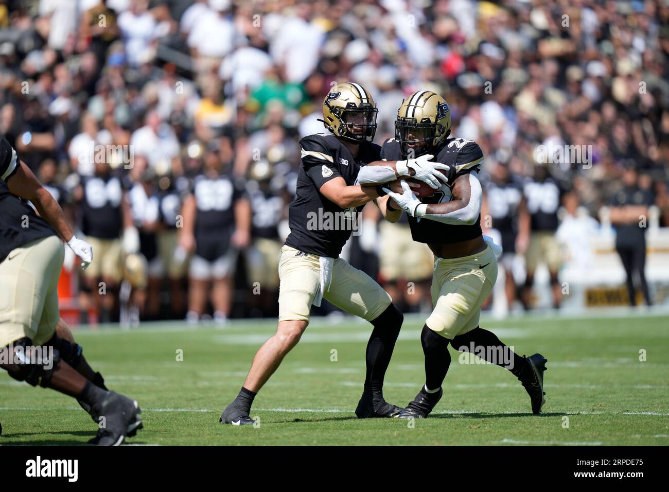 Purdue running back Dylan Downing (22) in action during an NCAA college ...