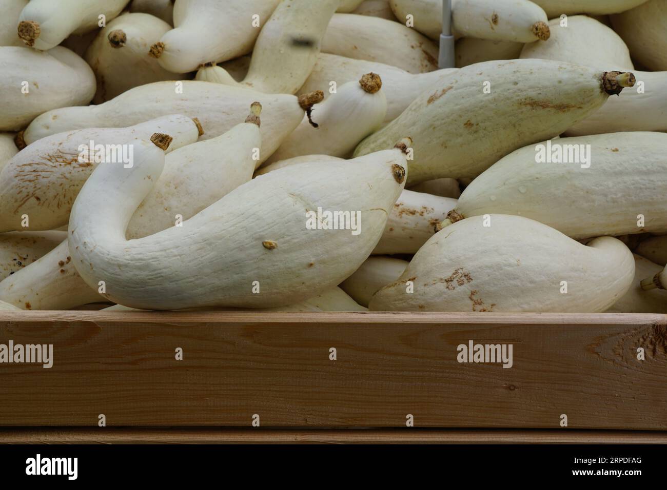 A close-up of a wooden table with a variety of white gourds resting ...