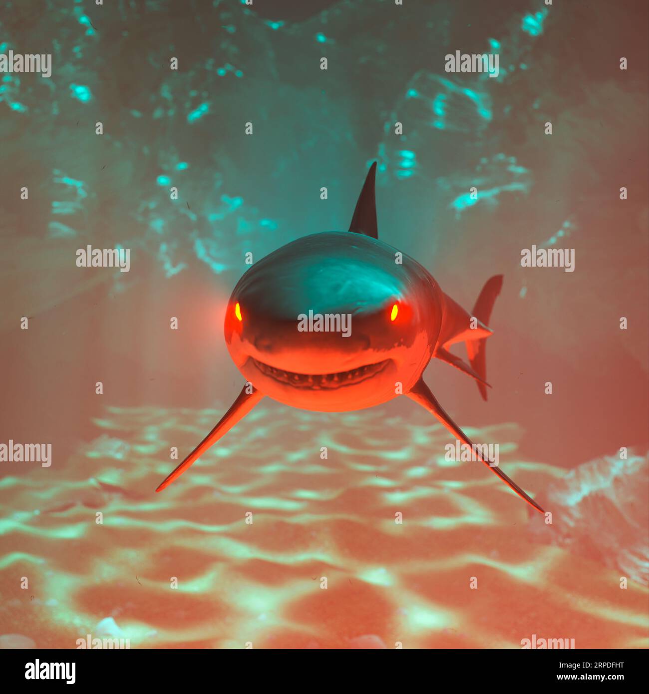 Shark's attack. The shark swimming around on the bottom of the ocean ...