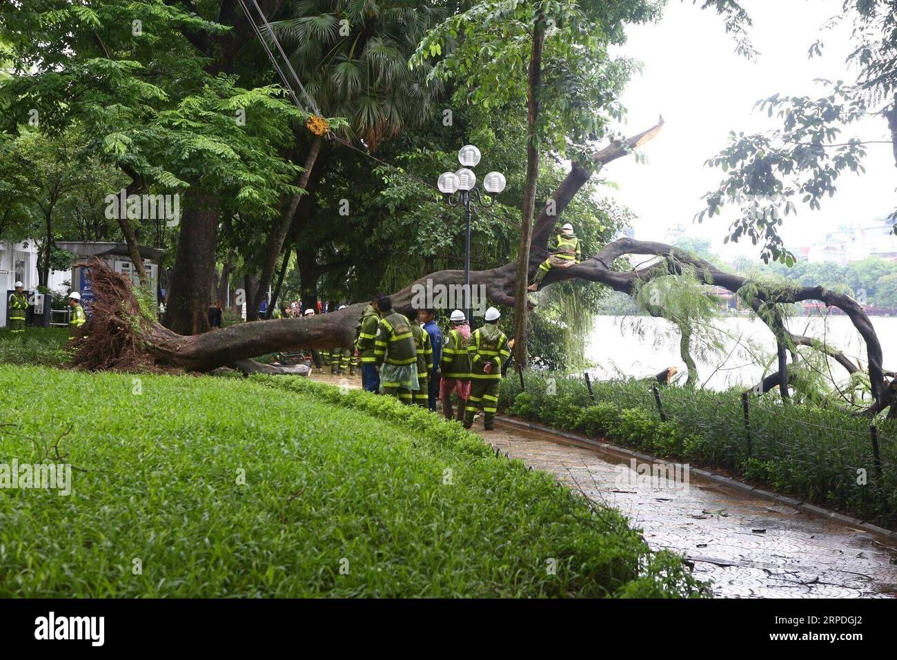 Vietnam typhon hi-res stock photography and images - Alamy