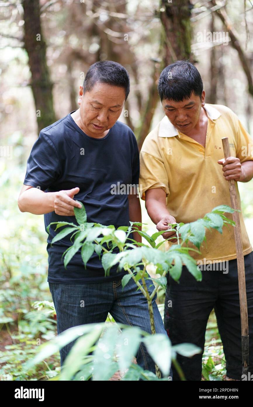 Dahei hi-res stock photography and images - Alamy