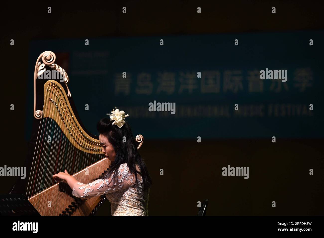 Chinese harp hi-res stock photography and images - Alamy