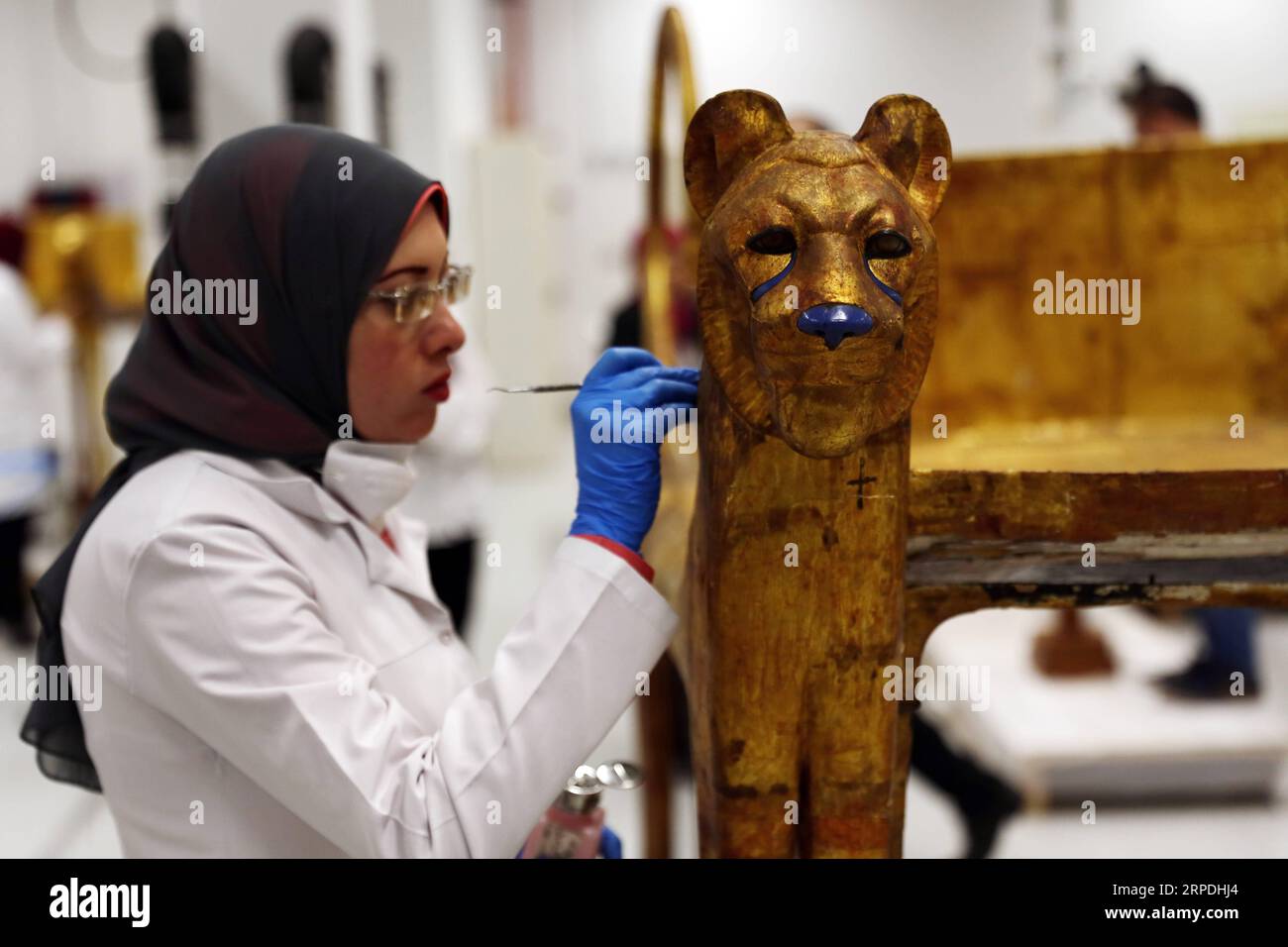 Egypt museum giza laboratory hi-res stock photography and images - Alamy