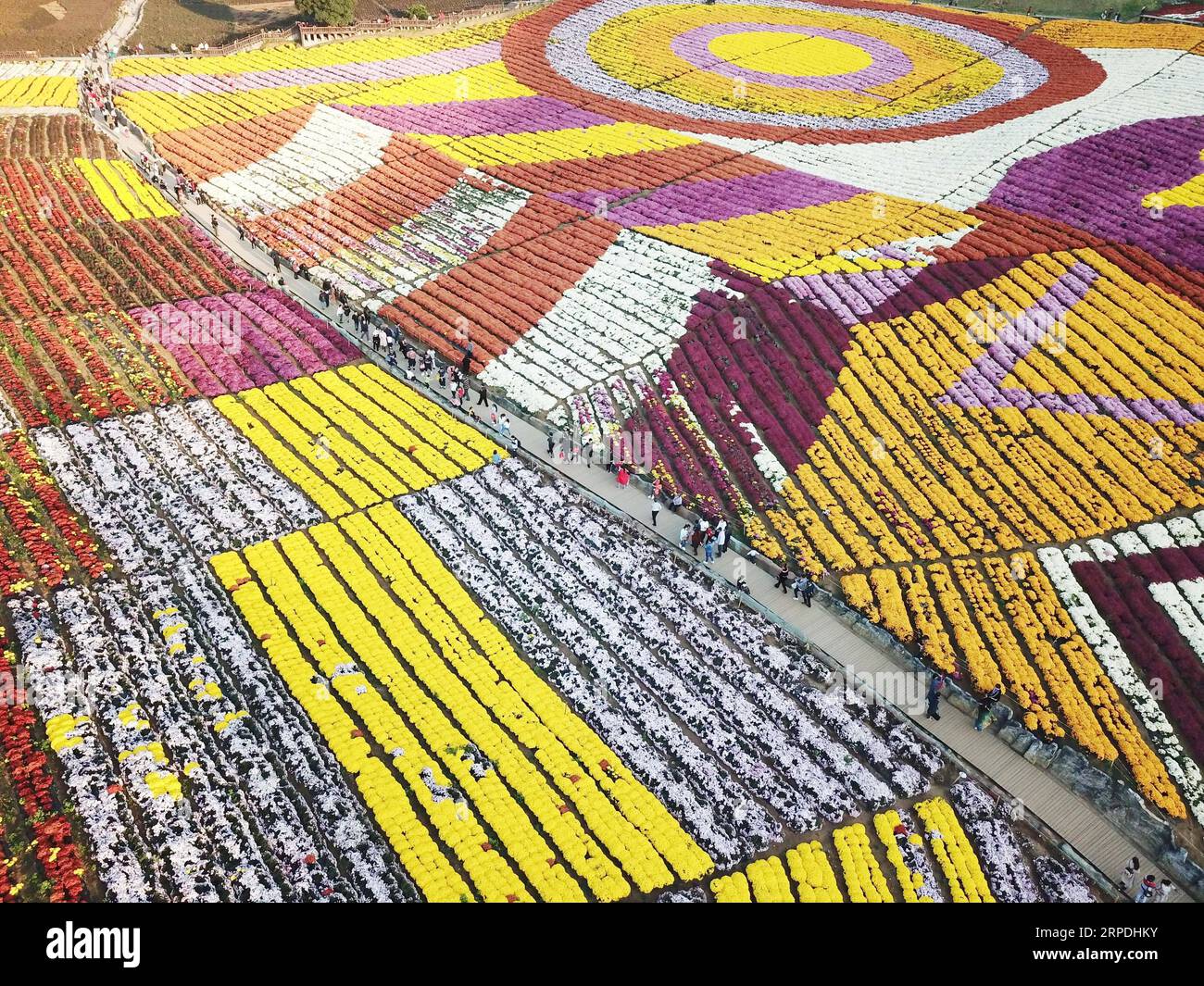 Majiang in a hi-res stock photography and images - Alamy