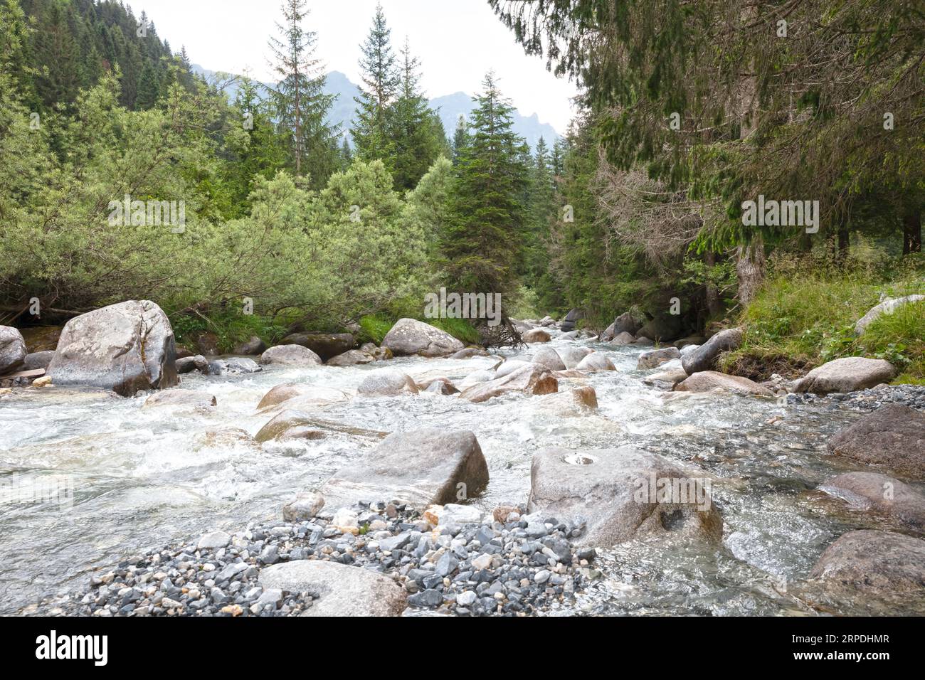 Mountain stream in the north of Italy, the Dolomites Stock Photo - Alamy