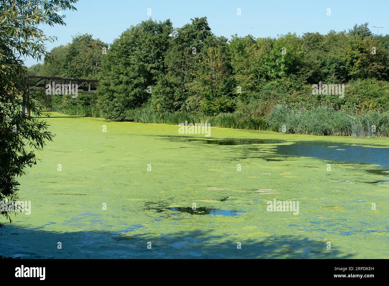 Slough Berkshire Uk 4th September 2023 It Was A Very Hot Day In