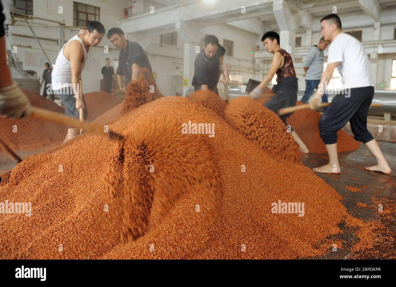 Annual farming process hi-res stock photography and images - Alamy