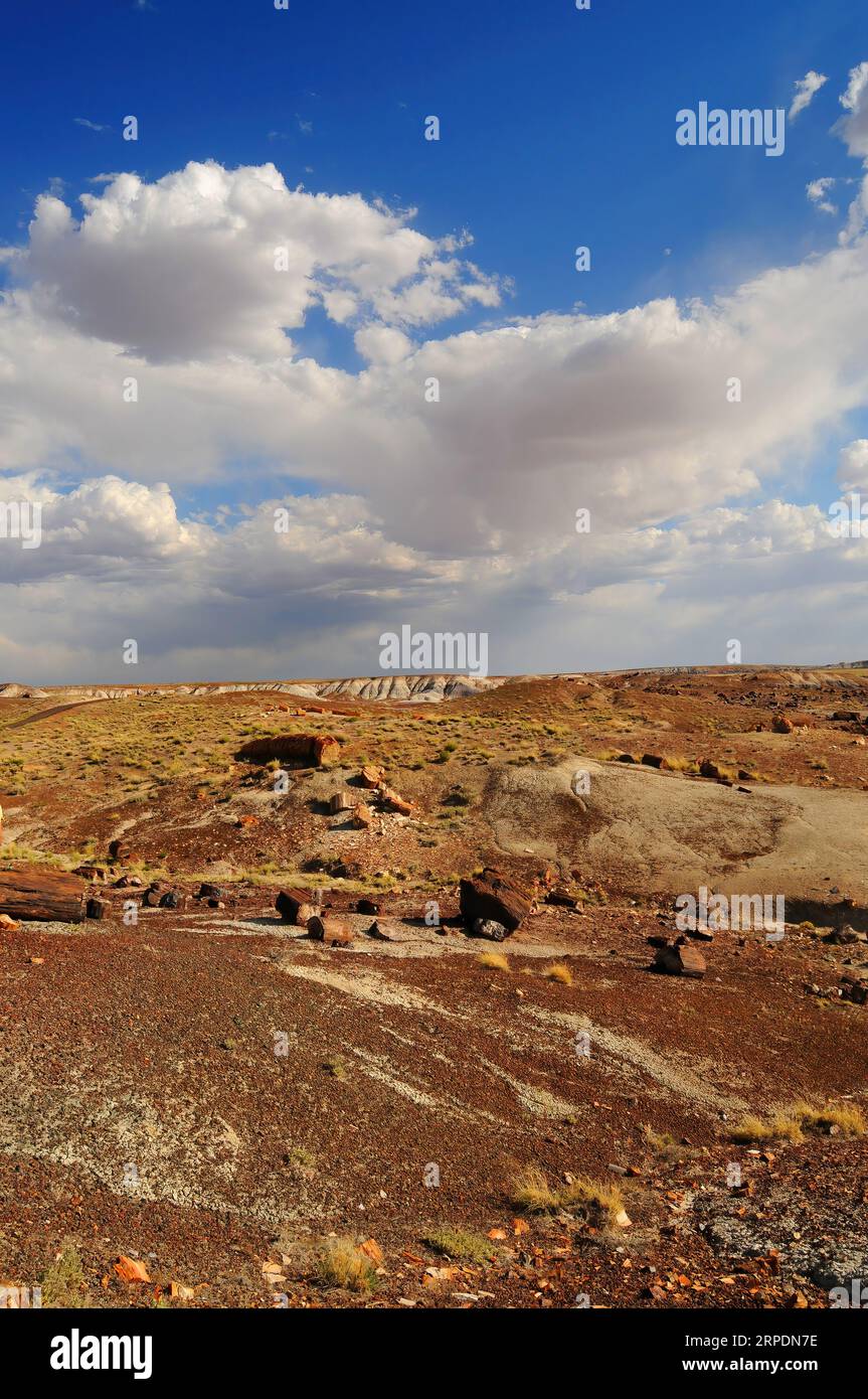 Rugged and Scenic landscape of the ancient petrified forest in Arizona ...