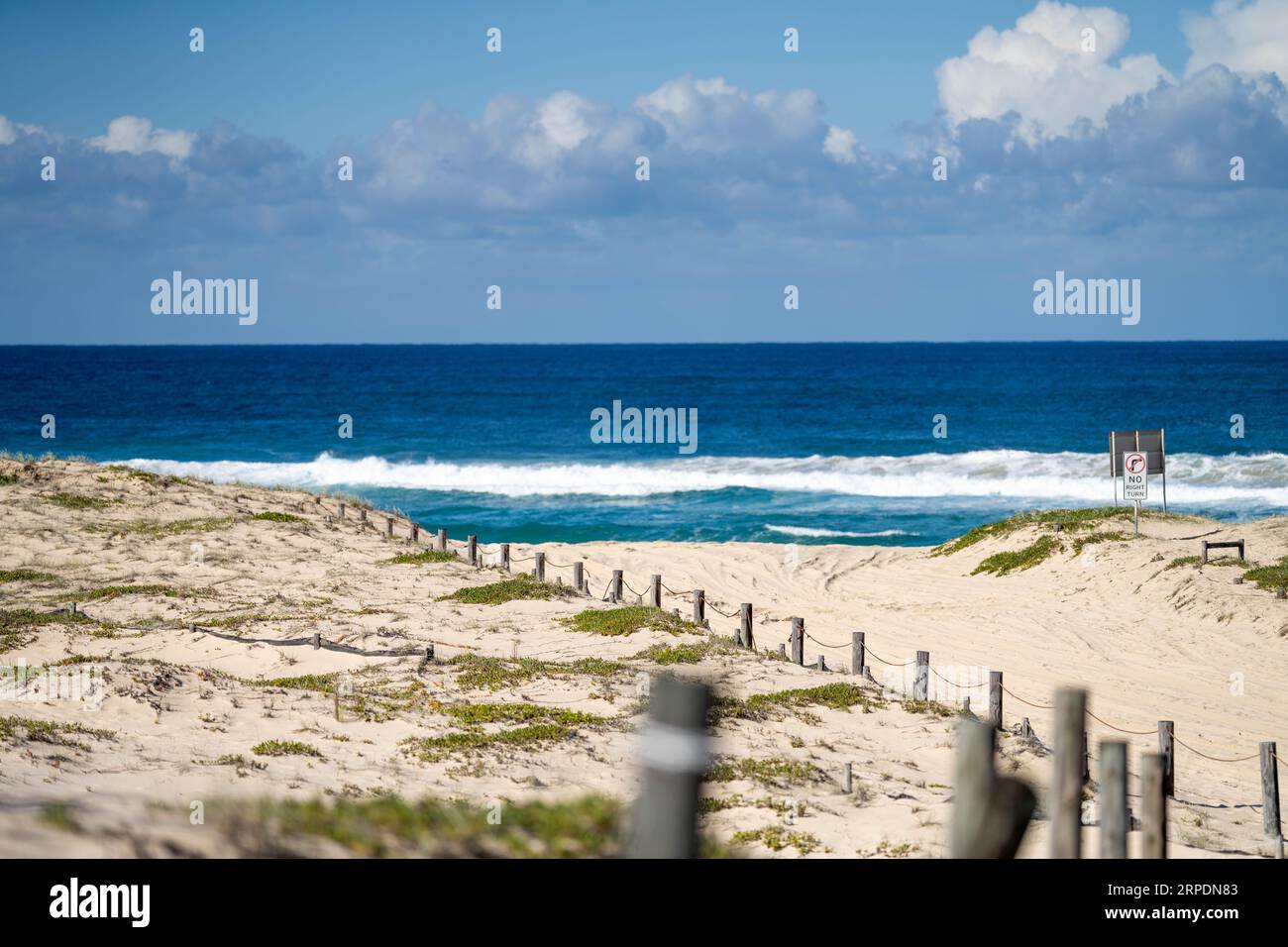 beautiful white sand australian beach in summer Stock Photo - Alamy