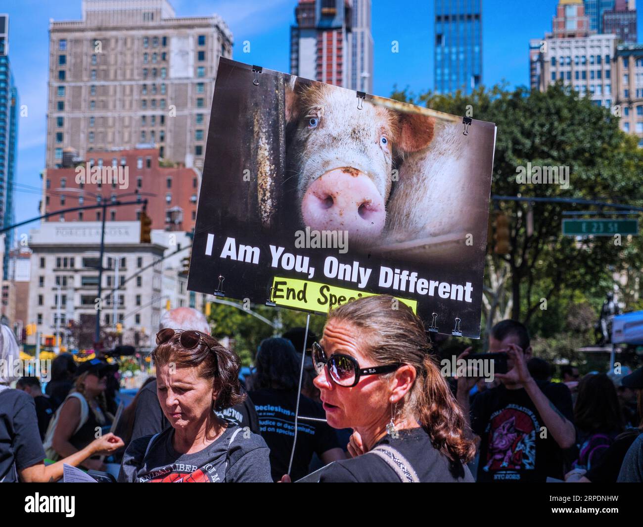 Peta animal testing hi-res stock photography and images - Alamy