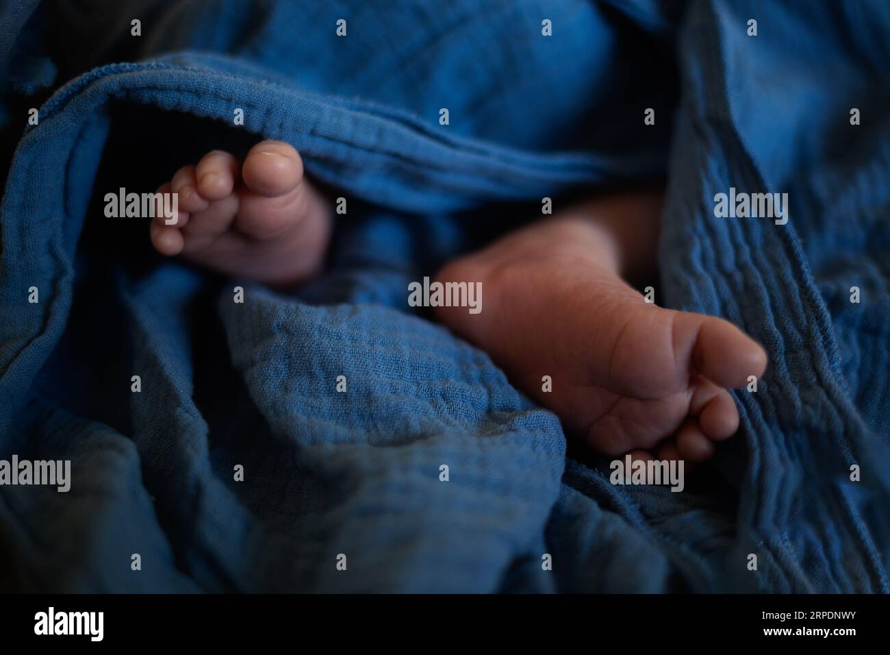 legs of a newborn baby in a blue muslin swaddle. close-up shot Stock ...
