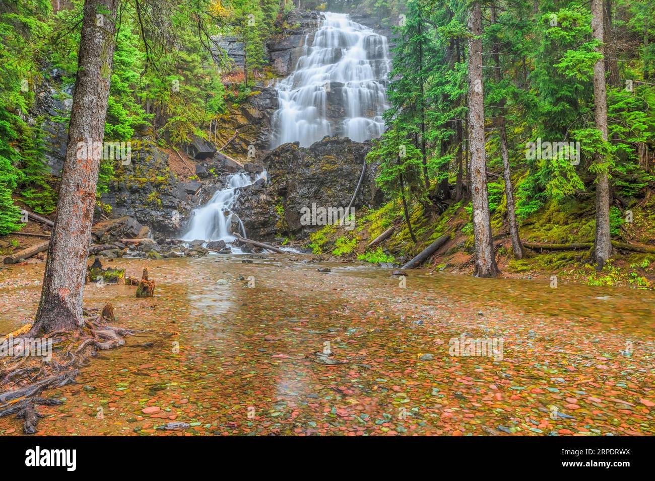 morrell creek falls in lolo national forest near seeley lake, montana ...