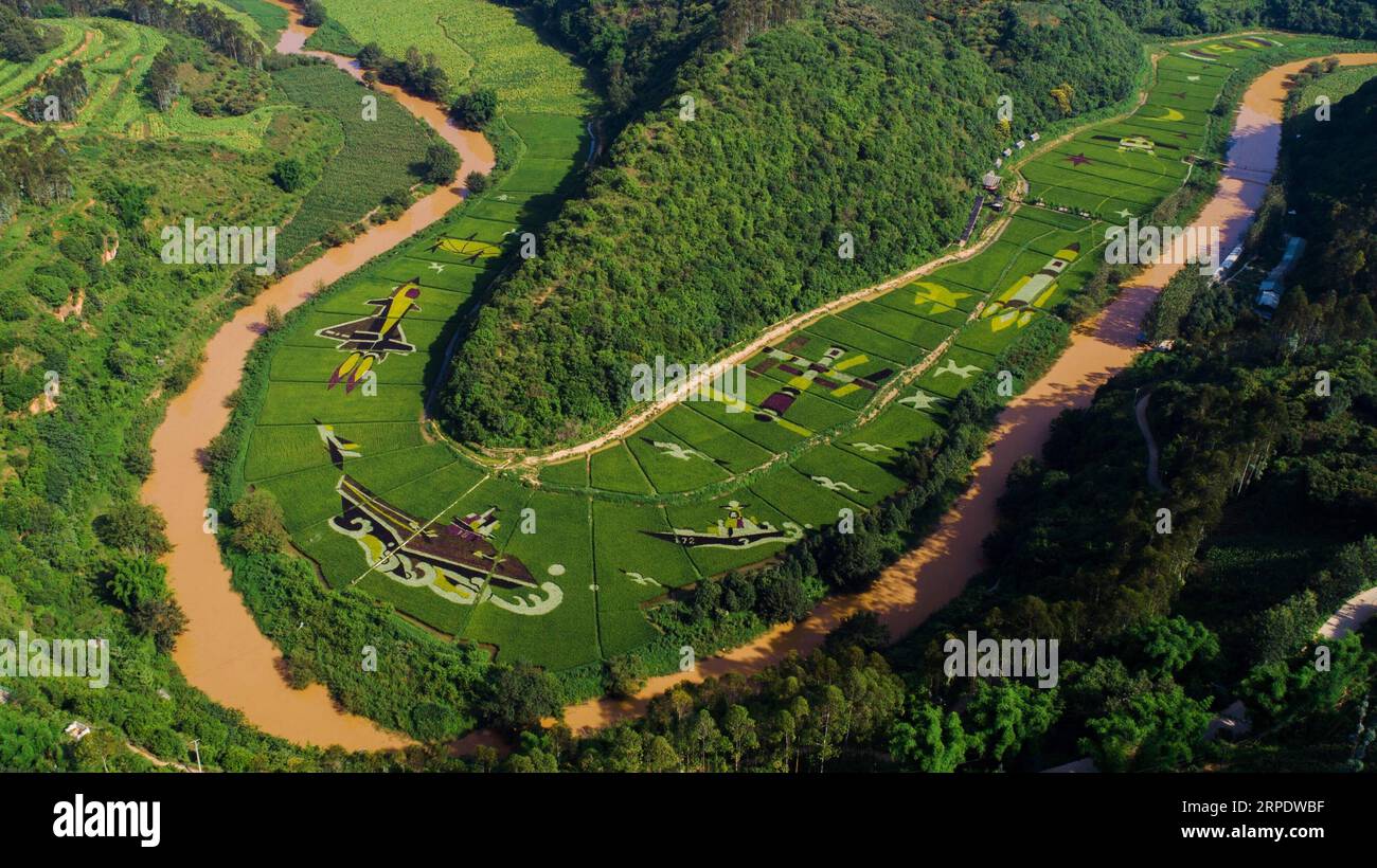 (190813) -- YILIANG, Aug. 13, 2019 -- Aerial photo taken on Aug. 12 ...
