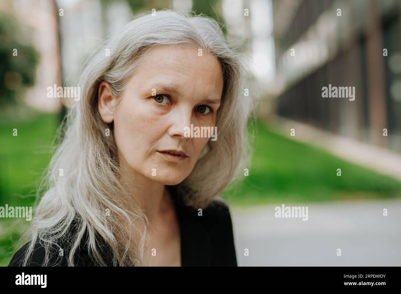 Portrait of beautiful woman in middle age with gray hair Stock Photo ...