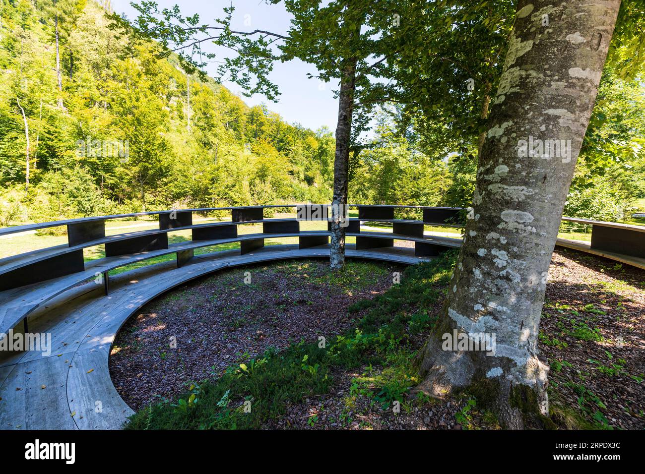Italy Trentino Val di Sella - Arte Sella - Stefano Boeri - Tree-Room ...