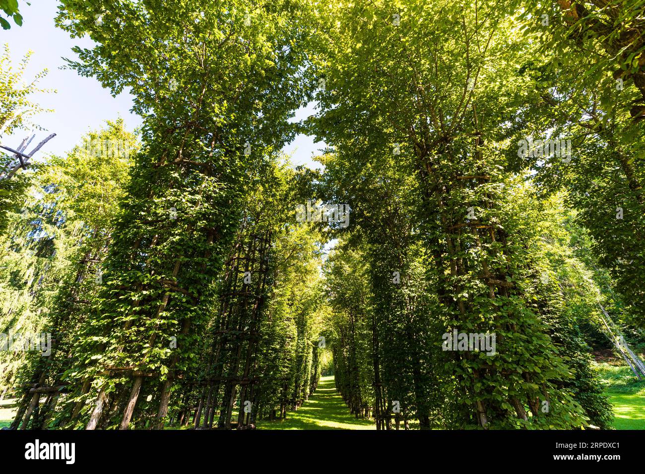 Italy Trentino Val di Sella - Arte Sella - Malga Costa - Giuliano Mauri ...