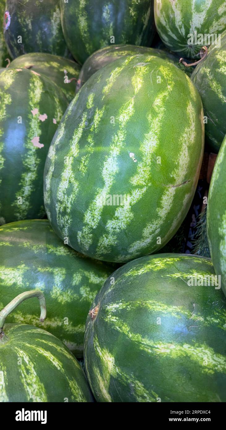 Watermelon. Stack of watermelons together at the grocery counter Stock ...