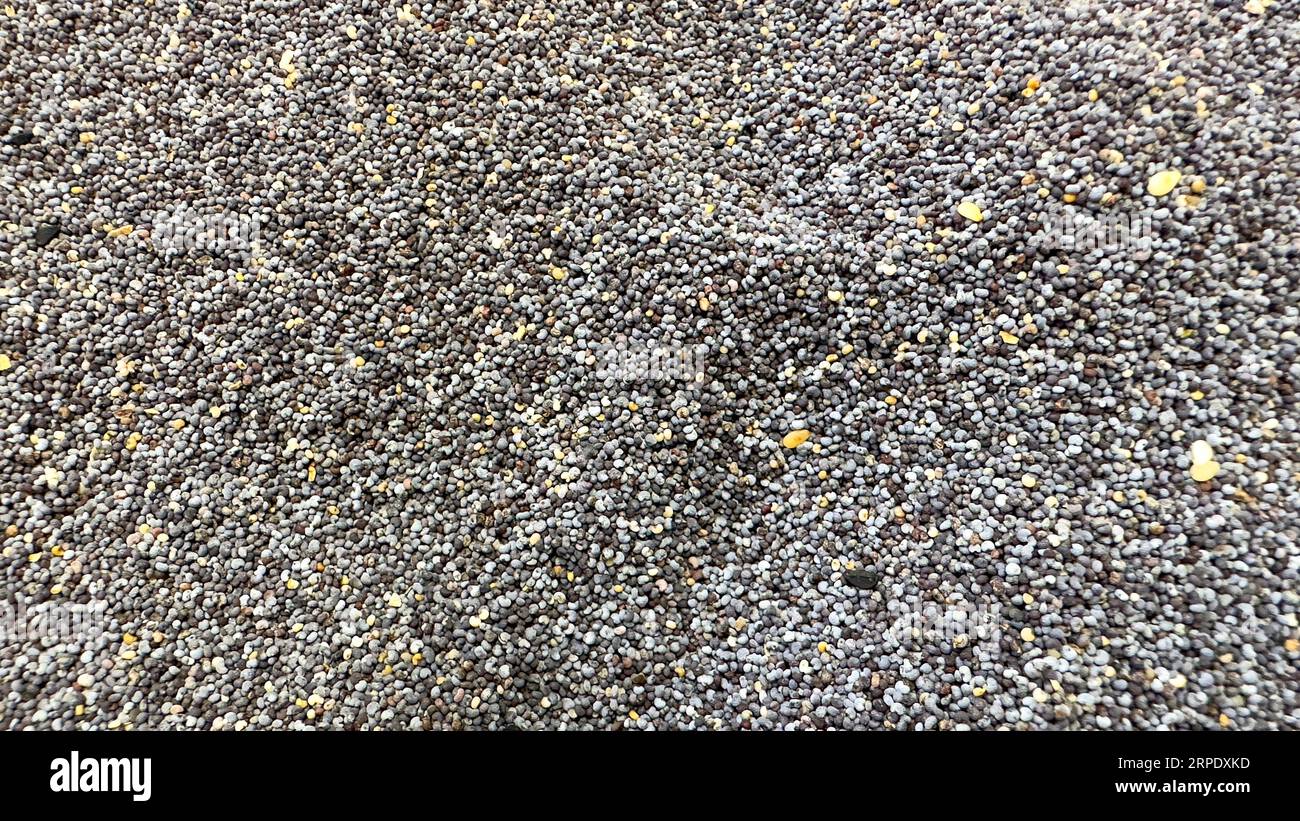 Blue poppy seeds. Bulk poppy seeds. food background Stock Photo - Alamy