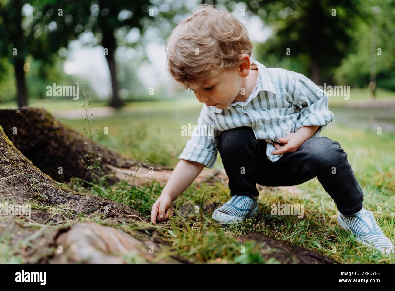 Young boy looking at bugs hi-res stock photography and images - Alamy