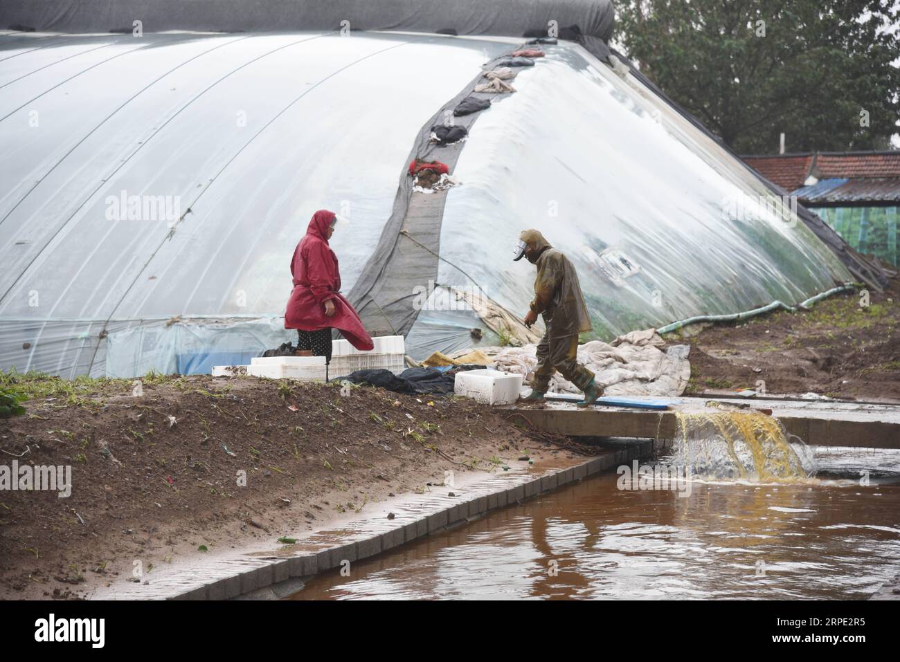 Major havoc hi-res stock photography and images - Alamy