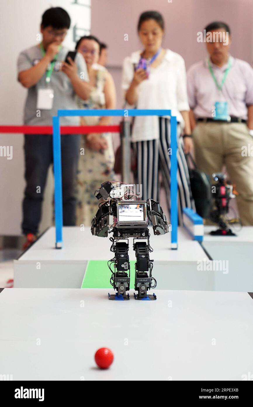 (190817) -- BEIJING, Aug. 17, 2019 -- A robot partakes in the 2019 ...
