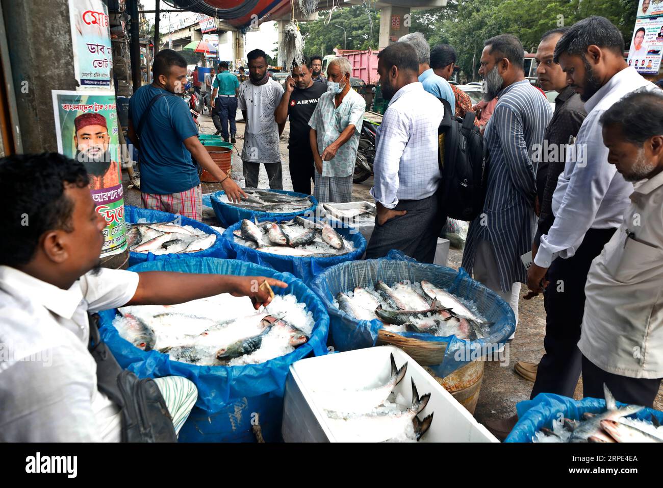 Dhaka, Bangladesh - September 04, 2023: Vendors are sitting with hilsa fish at Kawran Bazaar in ...