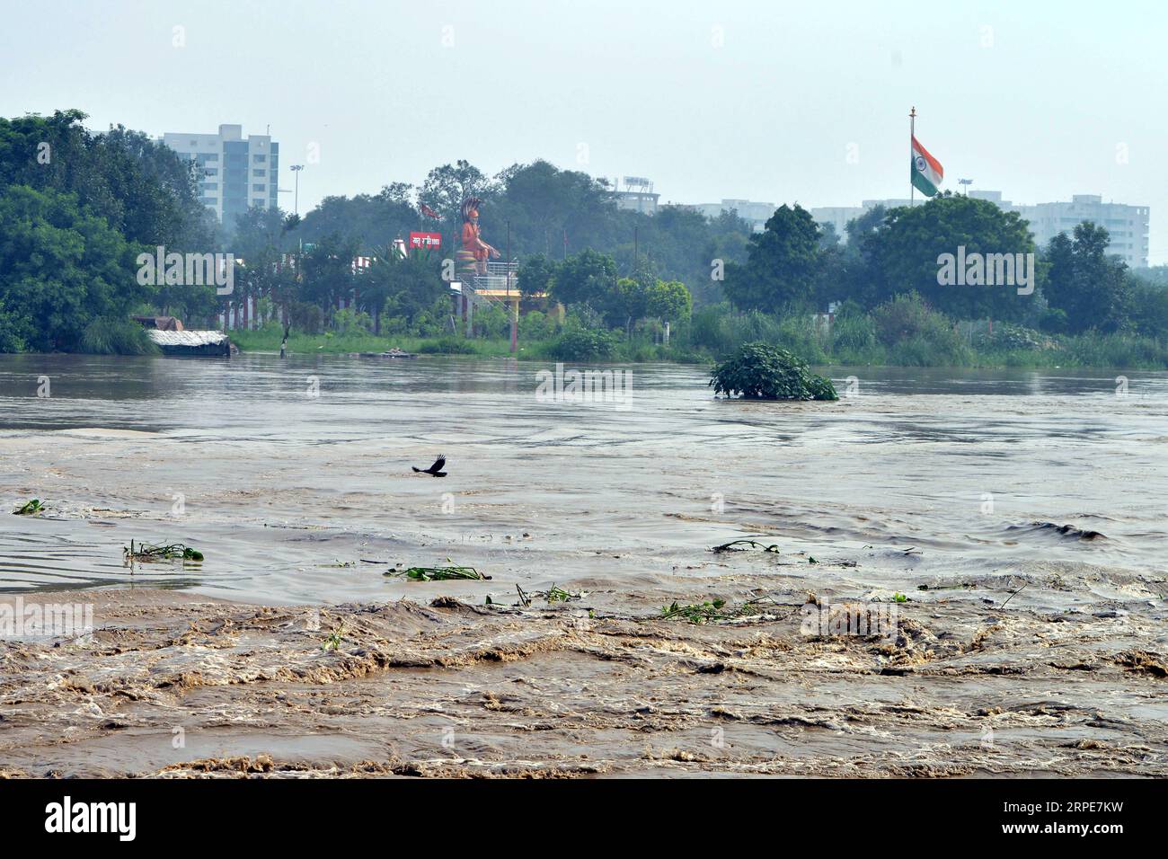 India delhi river high hi-res stock photography and images - Alamy