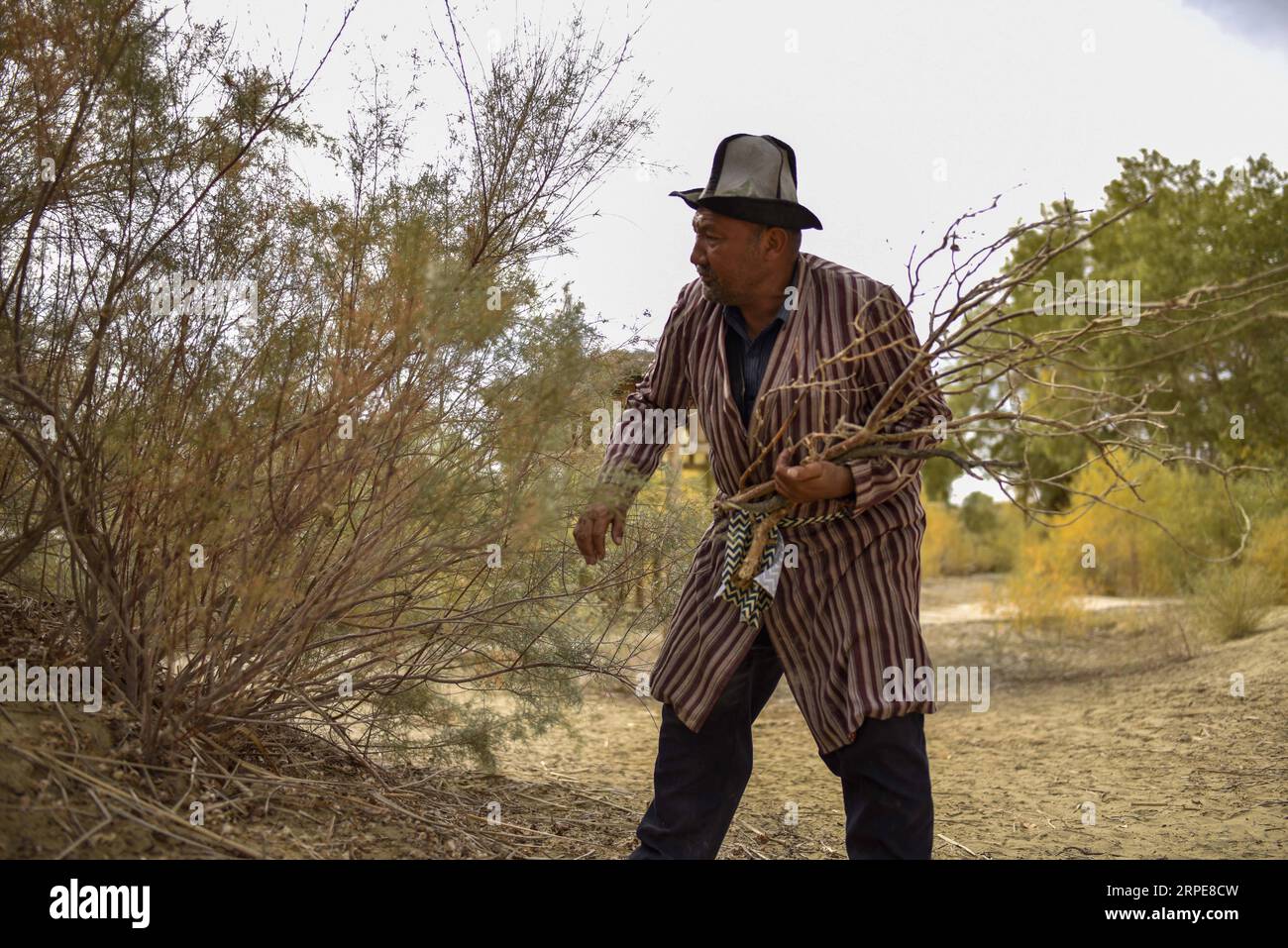 China xinjiang yuli lop hi-res stock photography and images - Alamy