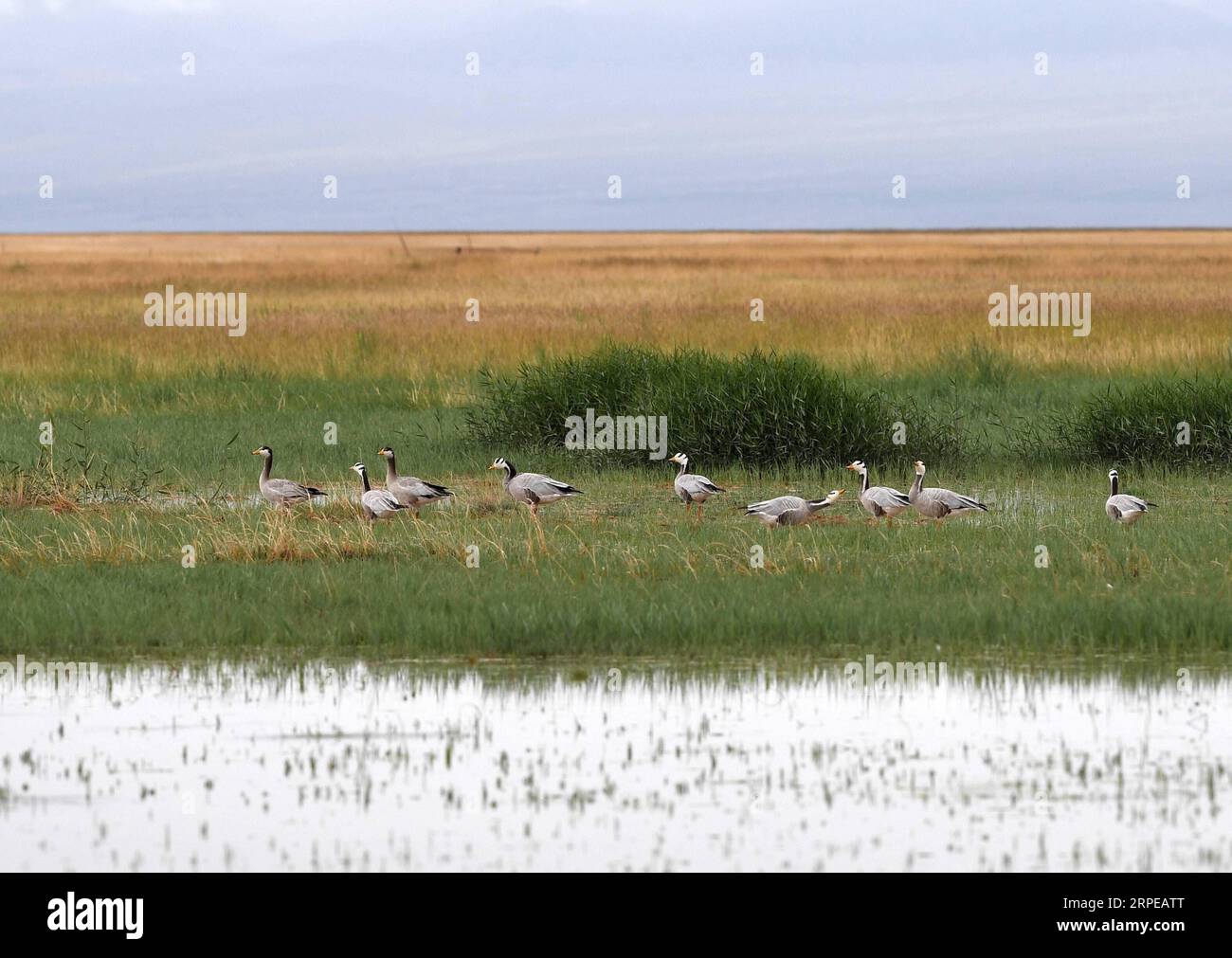 Aid stations hi-res stock photography and images - Alamy
