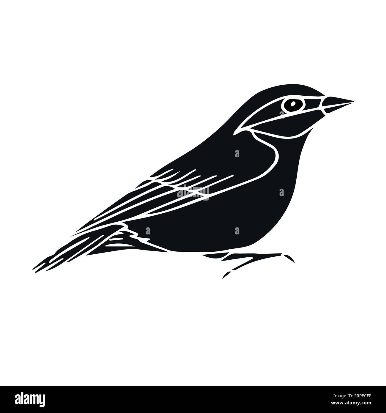 Vector hand drawn doodle sketch black nuthatch bird isolated on white background Stock Vector ...