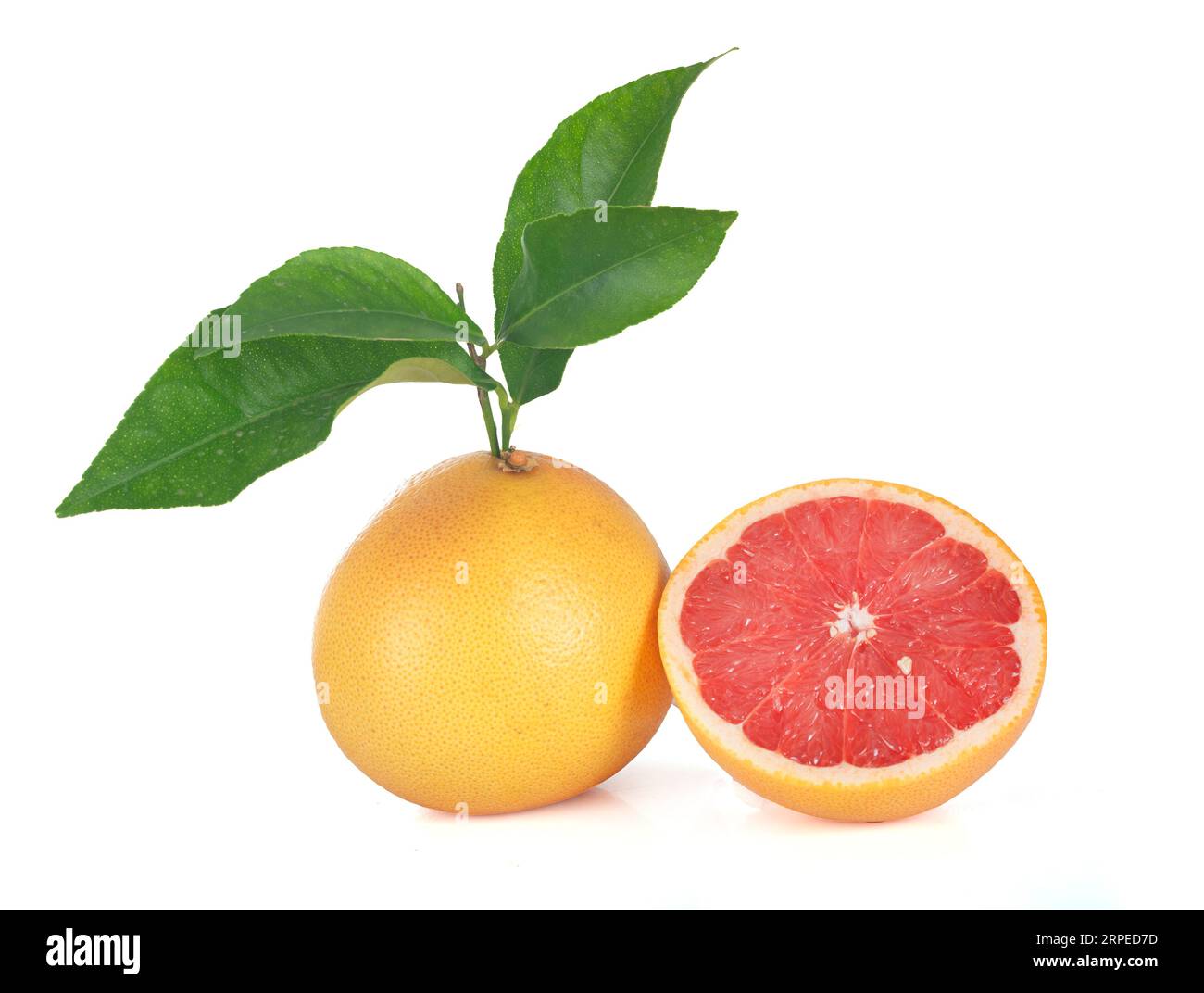pink grapefruit in front of white background Stock Photo - Alamy
