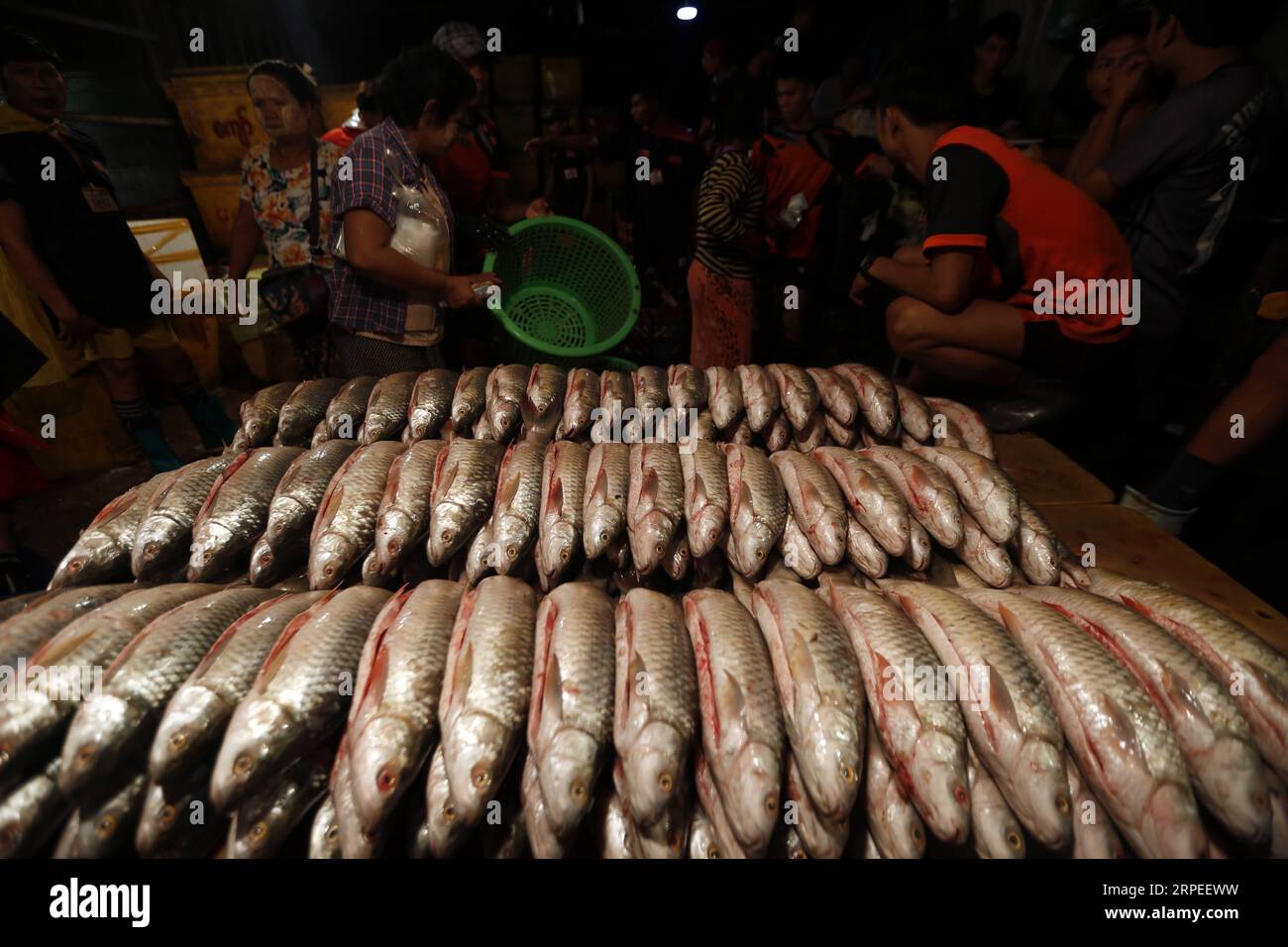 (190827) -- YANGON, Aug. 27, 2019 -- Customers buy fish at the Central ...