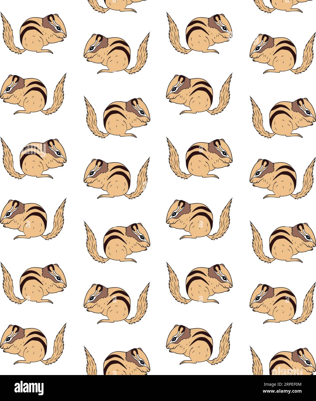 Vector seamless pattern of hand drawn doodle sketch colored chipmunk ...