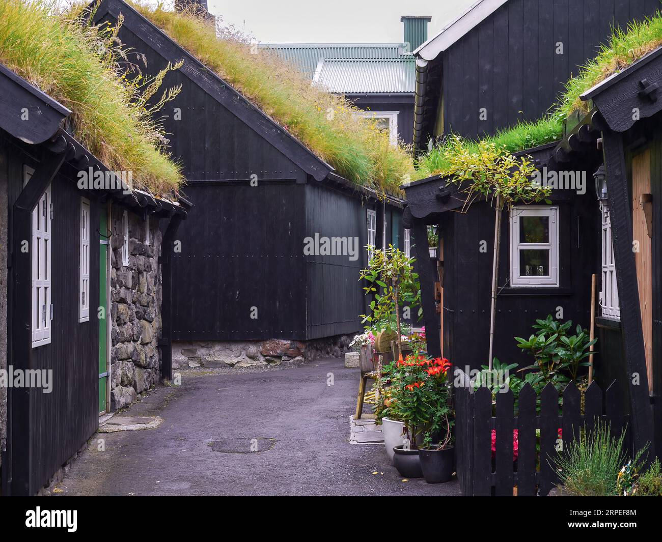 Densely packed residential houses on the Faroe Islands Stock Photo - Alamy