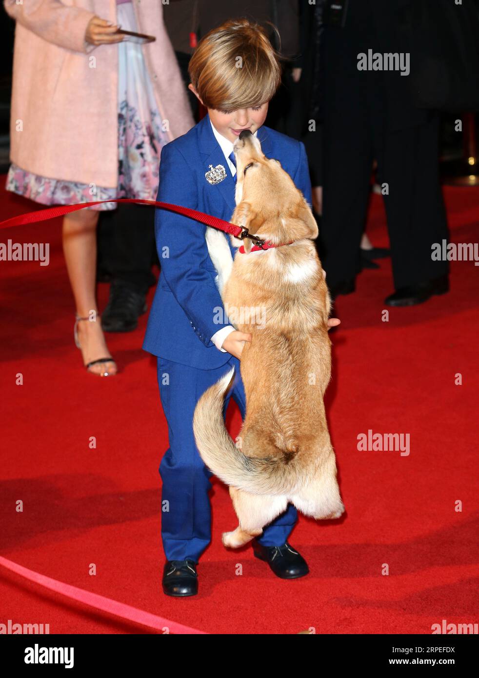 Billy jenkins hi-res stock photography and images - Alamy