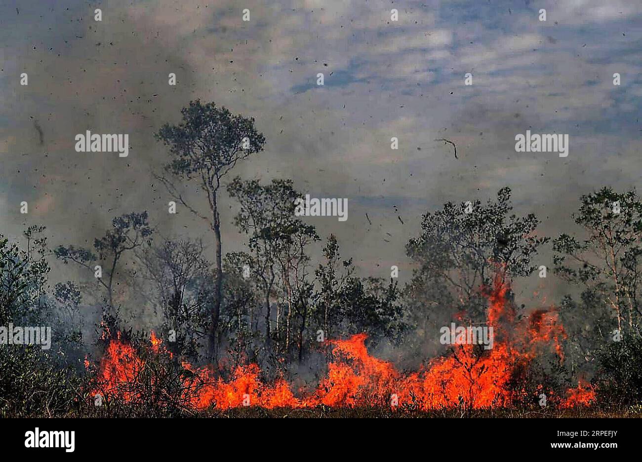 Estado handout hi-res stock photography and images - Alamy