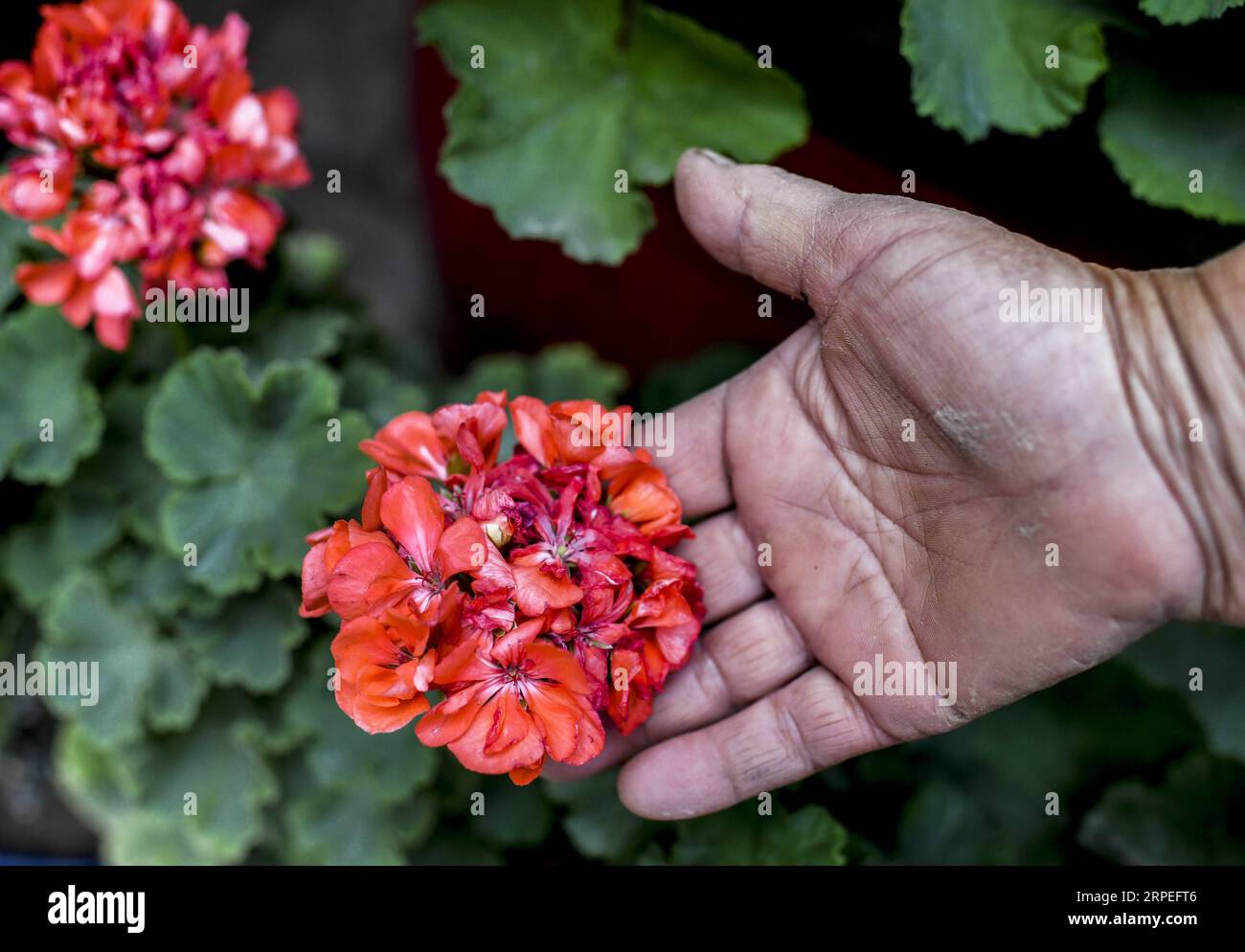 Theirincome hi-res stock photography and images - Alamy